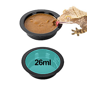 WACOOL Magnetic Reptile Ledge, Acrylic Gecko Feeding Ledge with 6PCS Cups, Reptile Food Water Feeder Dish for Geckos Iguana Chameleon Pets (Cups)
