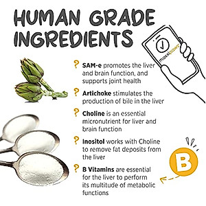 maxxipaws maxxiSAMe Sam-e Supplement for Dogs - Dog Liver and Cognitive Brain Support - Given with Food Powder 5.3 oz