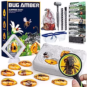 Amber Dig Kit - Insects in Resin, 8 Insects Specimens Excavation Kit, Geographic Bug Toys for Kids, Educational Science Kits for Bugs Collection, STEM Toys for Boys & Girls Age 6 and up Birthday Gift
