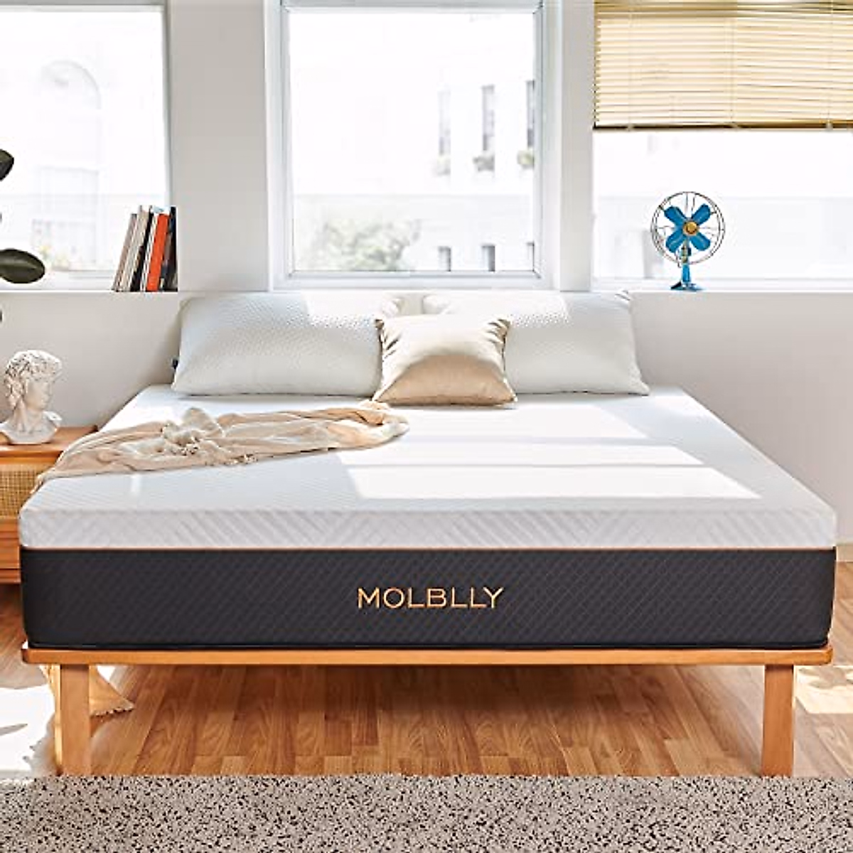Molblly Queen Mattress - 14-Inch Hybrid Mattress with Individual Pocket Springs and Foam, Queen Size Bed in a Box, Breathable and Pressure-Relieving, Medium, Mattresses Queen Size 60