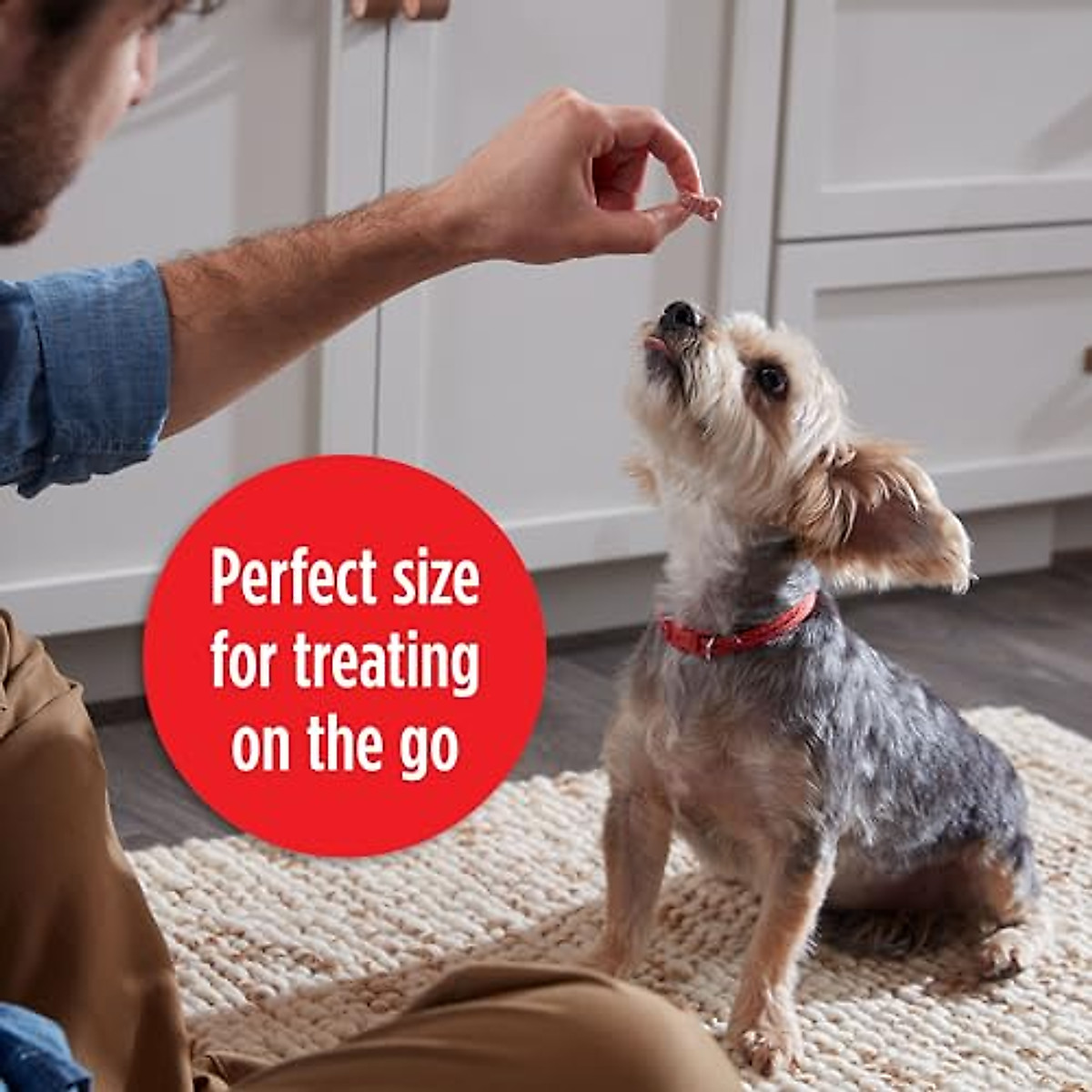 Milk-Bone Mini's Flavor Snacks Dog Treats, 2.5 Ounce (Pack of 20), Perfect for Walks, Travel Size, Party Favor