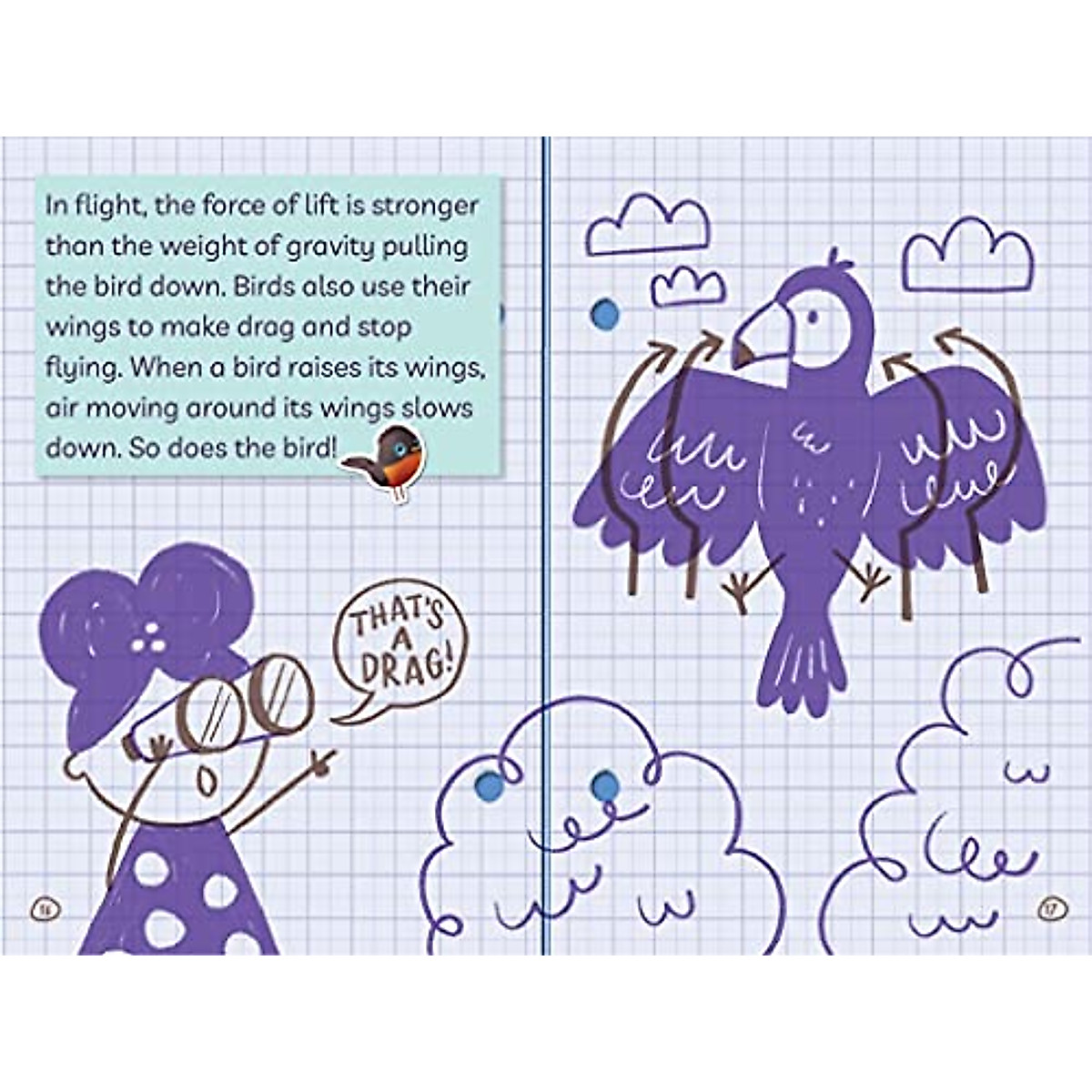 Exploring Flight! (Ada Twist, Scientist: The Why Files #1) (The Questioneers)