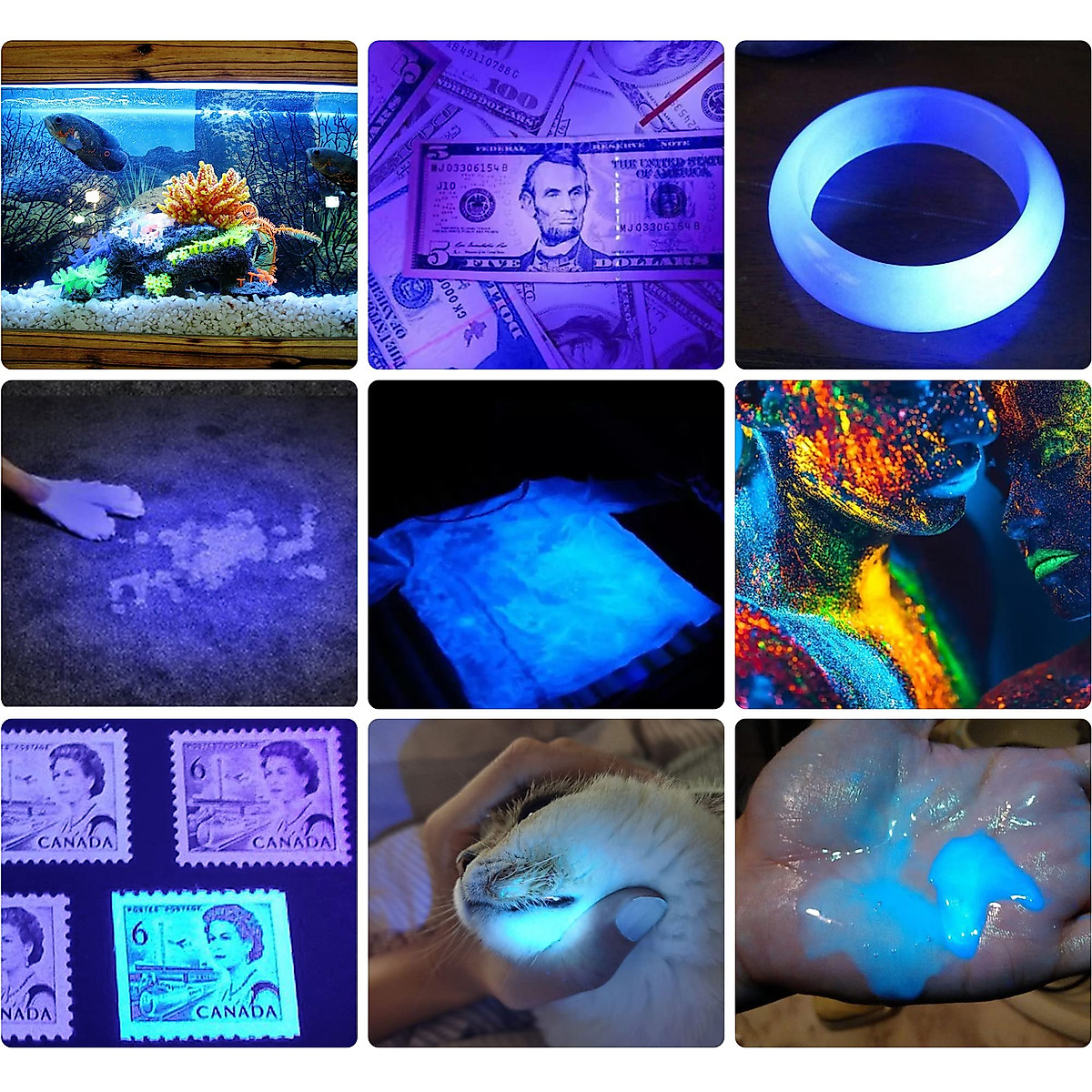 DARKBEAM UV 365nm Light Wood's lamp Blacklight Ultraviolet Flashlight LED Portable Mini Handheld Torch Detector for Dog Urine Pet Stains 370nm Anti-counterfeiting Identification, Resin Curing