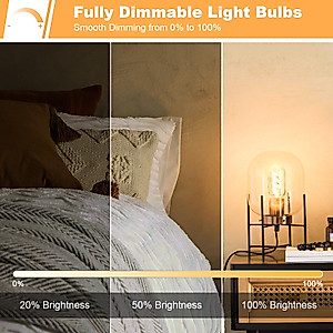 Owilukie E26 LED Bulb 6W Equivalent E26 Bulb 60 watt,Vintage Edison Bulbs,Warm White 2700K Amber E26 Edison Bulb dimmable,Tubular T14 T45 LED Light Bulb,AC120V,500lm,CR90+,Clear Glass,Pack of 4