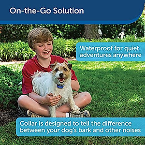 PetSafe Elite Little Dog Spray Bark Collar for Small Dogs from 8 lbs to 55 lbs - Smallest Collar Option - Citronella Spray - No Barking Control Device - PBC00-11283