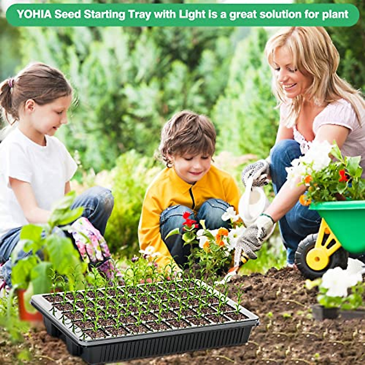 YOHIA Seed Starter Tray with Grow Light,2 Packs 80 Cells Seed Starter Kit,Seeding Starter Trays with Humidity Dome Germination Kit for Seedling Starting,Seed Growing,Cloning & Plant Propagation