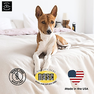 Calming Chews for Dogs - Dog Calming Treats for Anxiety & Stress Relief with Melatonin and Ginger - Aid with Storms, Grooming, Fireworks, Separation, Travel, Motion Sickness, & Sleep - 120 Chews