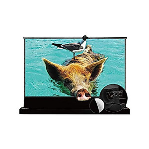 VIVIDSTORM-Projection Screen Stand S PRO P 92inch Portable Ambient Light Rejecting 4k Laser Projector Screen with Sound Transparent Perforated Compatible with UST Laser Projector,VBSDSTUST92HP