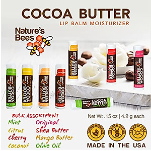 Nature's Bees (24 Count, 8 Flavors) Cocoa Butter Flavored Lip Balm Tubes Set Bulk Assortment Natural Chap Treatment Moisturizer For Very Dry Lips