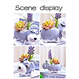 Cute Schnauzer Puppy Sleeping Pet Flowerpot with Drainer Garden Flowerpot Resin Succulent Potted Bonsai Plant Stand Home Desk Mini Ornaments Balcony Gardening Flowerpot Does Not Contain Plants