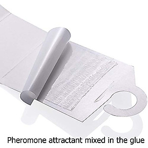 Faicuk Clothes Moth Traps with Pheromone Attractant for Closet and Carpet (6 Pack)