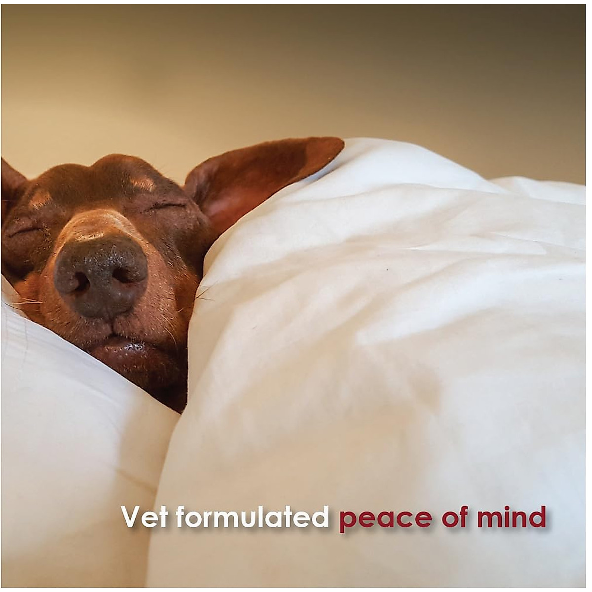 TranQuil-Tabs for Dogs - Contains Chamomile, L-Tryptophan, and Melatonin - Relieves Stress and Tension - Ease Travel and Separation Anxiety - 60 Tabs