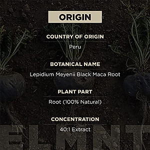 ELMNT 40,000mg 40x Strength Organic Black Maca Root w. Ashwagandha - Highest Potency Black Maca Root Capsules for Men with 100% Pure Maca Peruana Powder Organic, Gelatinized, Non-GMO - 60 Pills