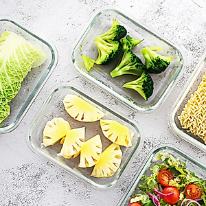 Diyrap 20-Piece Glass Meal Prep Containers, 10 Count of Bases and Plastic Lids,Glass Food Storage Containers with Lids, Airtight Glass Lunch Bento Boxes,Transparent, Blue