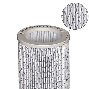 Climestar Premium True HEPA Filter Replacement Compatible with Molekule PECO Air Purifier