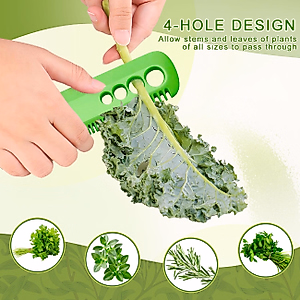 2 Pcs Herb Stripper Tool, Vegetable Herb Eliminator Comb for Kale,Chard, Collard Greens, Thyme, Basil, Cilantro Tool Kitchen Gadgets Green Leaf Herb Stripper (Green)