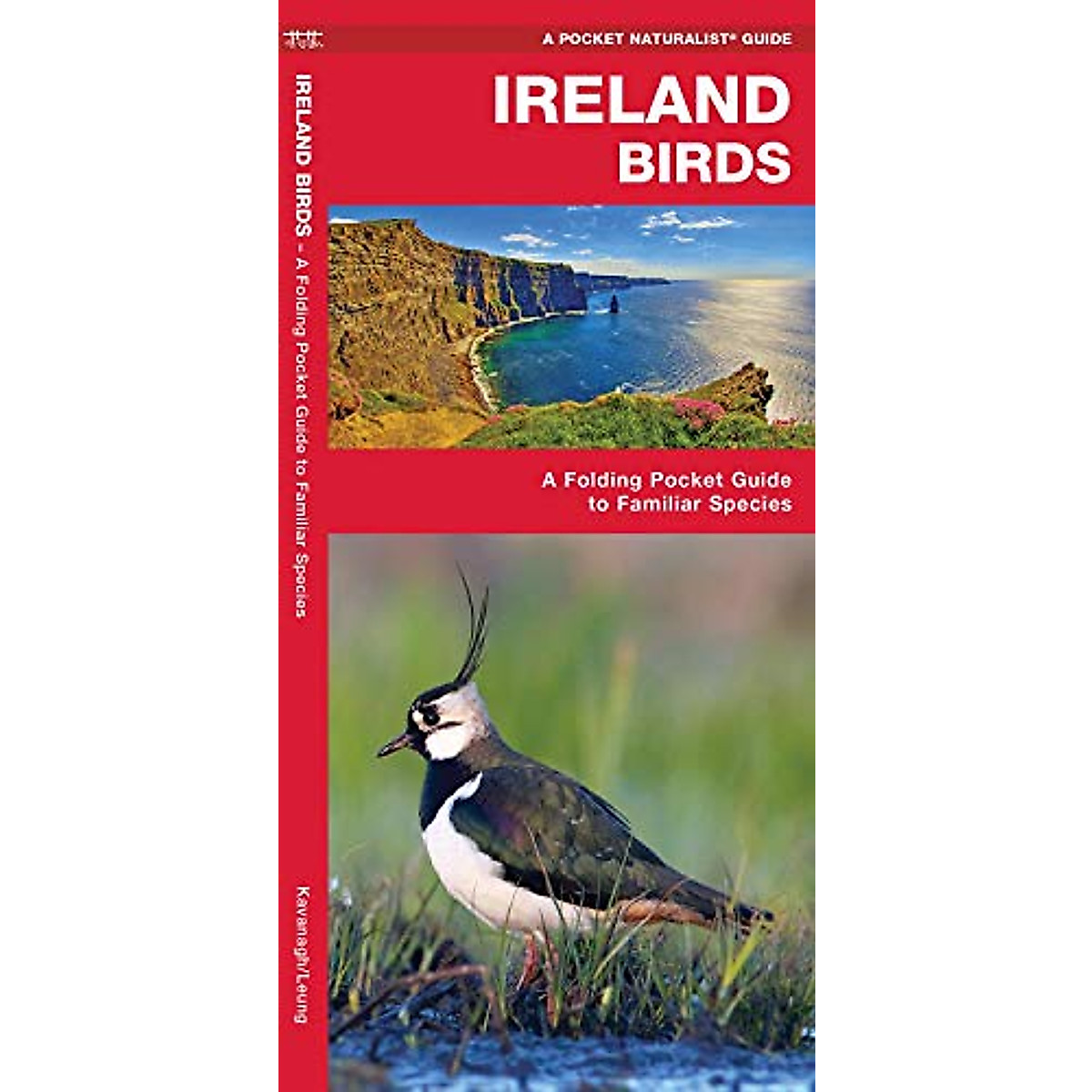 Ireland Birds: A Folding Pocket Guide to Familiar Species (Nature Observation International)