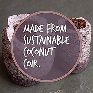 Pure Coconut Coir Netted Seed Starting Pellets - 42mm - Pack of 100 - Sustainable, Renewable, Unamended - Superior to Peat Plugs - High Water Holding - Minimize Root Loss & Transplant Shock