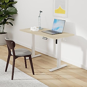 SOHOMACH Electric Standing Desk - Adjustable Height with Memory Preset, 48 x 24 Inches Ergonomic Design Home Office Standing Desk