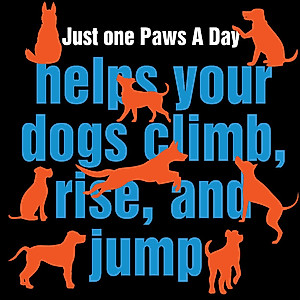 Paws A Day Glucosamine for Dogs Hip & Joint Supplement – “Two-in-One Combo” Dog Joint Care and Improved Skin & Coat with Chondroitin, MSM, Omega 3, Collagen & Biotin, 60 Chewable Tablets