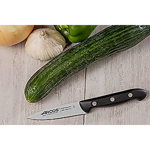 ARCOS Paring Knife 4 Inch Stainless Steel. Professional Kitchen Knife for Peeling Fruits and Vegetables. Ergonomic Polyoxymethylene Handle and 100mm Blade. Series Maitre. Color Black