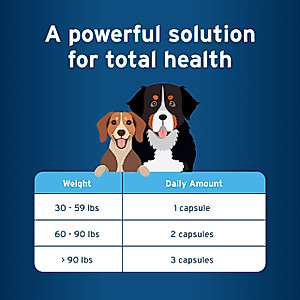 Pet Protect from The Makers of Advantage Omega 3 Supplement for M/L Dogs | 60 Capsules