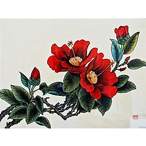 Red Camellia