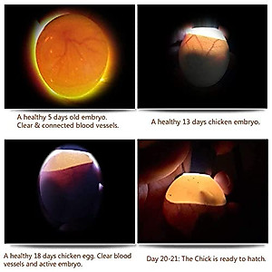 ZZBUY Egg Candler, Egg Incubator Light【2024 Upgraded Charger】,Egg Candler candling Checker Light for Chicken Quail Dark Canary Pigeon All Eggs Battery Powered(Include Egg Candling Guide)