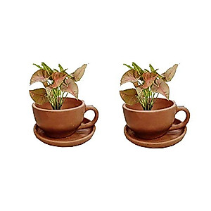 Artisansorissa 4.5 inch Dia Cup Plate Planter Terracotta Clay pots with Drain Hole Unglazed Bonsai Planter for Cacuts/Succulent Plants for Indoor/Outdoor (6) (2)