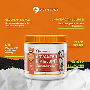 PointPet Advanced Glucosamine Hip and Joint Supplement for Dogs, 90 Count - Soft Chews - Dog Joint Health Chews - Chews with Chondroitin Turmeric, Omega 3
