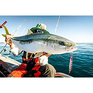 Nomad Design Deep Water Fishing - Erratic Action Trigger for Predators, Fast Sinking & BKK Jig Assist Hooks The Streaker 120G - 4 oz - Crimson Tide