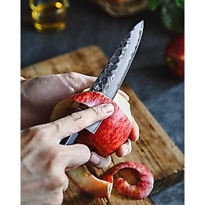 HEZHEN 6" Utility Knife, Clad Steel Composite Forging Steel Universal Knife, Petty Knife Paring Fruit Peeling,Japanese Style Kitchen Knife,Natural Wood Octagonal Handle
