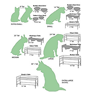 PetRageous 81030 Gizmo's Set The Table Steel Frame Dog Feeder, 3-Inch Tall Dining Table by 13-Inch Long and 6-Inch Wide, Holds Two 5.5-Inch Diameter Bowls, for Small and Medium Dogs and Cats, Black
