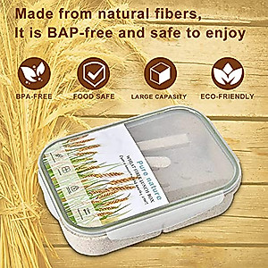 bacxigo Bento Box, Bento lunch Box for Kids and Adults, Lunch Container with Fork and Spoon, Leak Proof Lunch Box, Microwave and Dishwasher Safe Bento Boxes,Mom’s Choice Kids Lunch Box