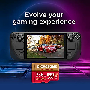[5-Yrs Free Data Recovery] Gigastone 256GB Micro SD Card, 4K Game Pro, MicroSDXC Memory Card for Nintendo-Switch, GoPro, Action Camera, DJI, UHD Video, R/W up to 100/60MB/s, UHS-I U3 A2 V30 C10