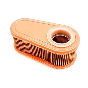 Briggs & Stratton 795066 Lawn & Garden Equipment Engine Air Filter (replaces BS-795066) Genuine Original Equipment Manufacturer (OEM) part