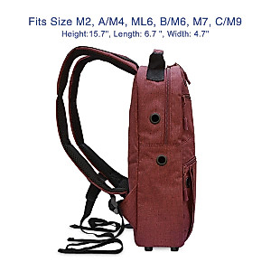 Healvaluefit Oxygen Tank Backpack O2 Cylinder Carrying Holder Bag Fit Size M4/A, M6/B, M9/C, M2, ML6 -Red (not for The D Oxygen Tank)