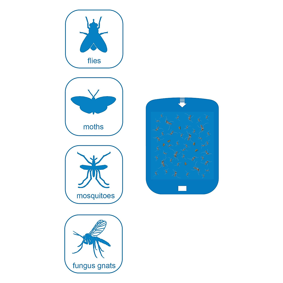 Dichroma 8 Pack Refill Cartridges for Blue Light Plug-in, Compatible with Flying Insect Light Trap for Fly Bug Mosquito Gnat Indoor