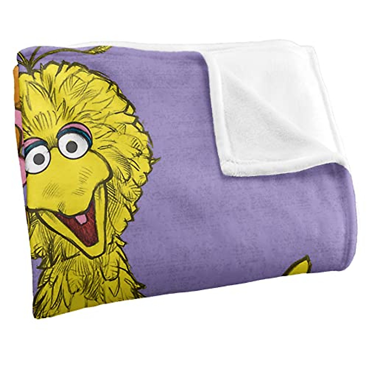 Sesame Street Big Bird Painted Officially Licensed Silky Touch Super Soft Throw Blanket 36" x 58"