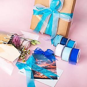 SOFIRE 6 Roll 1 Inch Wide Blue Organza Ribbon Christmas Ribbon Sheer Chiffon Ribbon for Gift Wrapping(Blue)