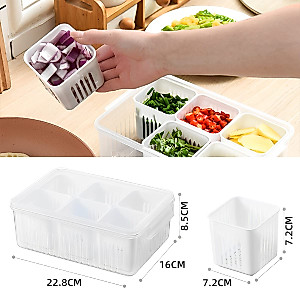 Food Storage Containers with Lids Airtight, Scallion Preservation Box Fridge Fresh-Keeping Container, 6 Grids Draining Crisper Portable Divided Fruit Storage Container Ginger Storage Basket for