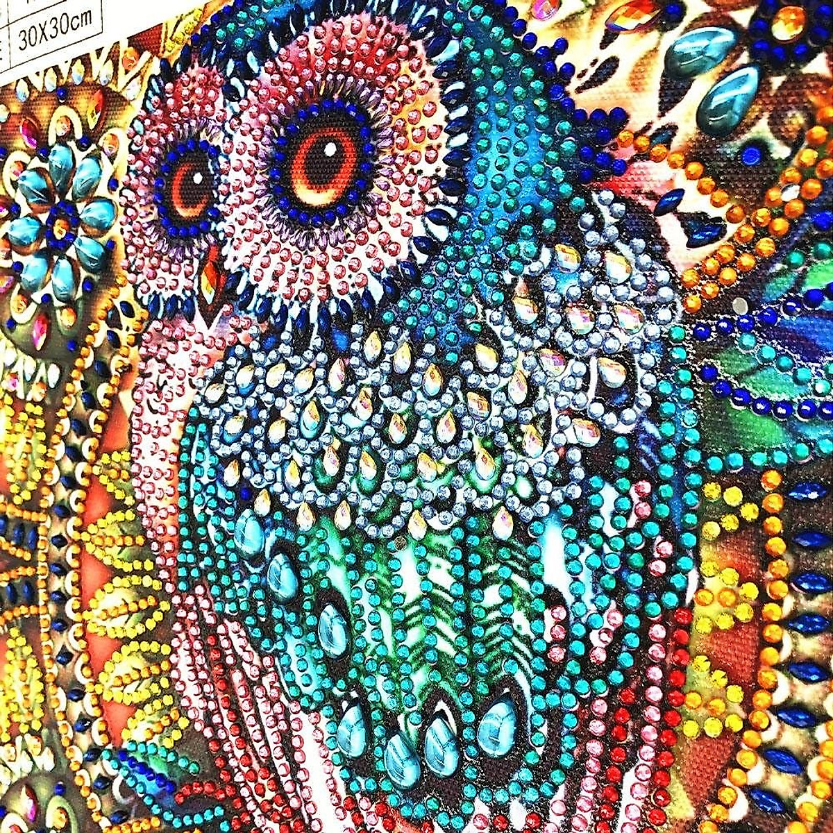 Hibah Diamond Painting DIY 5D Special Shape Rhinestone, Owl, Partial Diamond Crystal Diamond Painting Set (Mandala)
