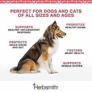 Herbsmith Pure Krill - Wild-Caught Antarctic Krill - Just 1 Ingredient - Astaxanthin for Dogs - Ready-to-Use Omega 3s – Alternative to Krill Oil for Dogs - 75g