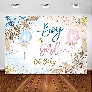 Avezano Boy or Girl Gender Reveal Backdrop Pink or Blue Balloons Gender Reveal Party Decorations Boho Pampas Grass Oh Baby Sign Photoshoot Background Banner (7x5ft)