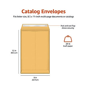 Amazon Basics Catalog Mailing Envelopes, Peel & Seal, 9x12 Inch, Brown Kraft, 100-Pack