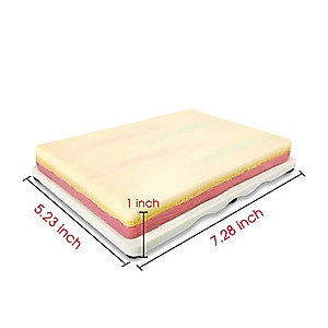 Medarchitect Venipuncture IV Injection Training Pad Model with 4 Veins Imbedded and 3 Skin Layers for Medical Students Doctors Nurses Practice