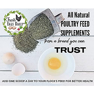 Fresh Eggs Daily Coop Kelp Organic Feed Supplement Vitamins for Backyard Chickens and Ducks 7LB
