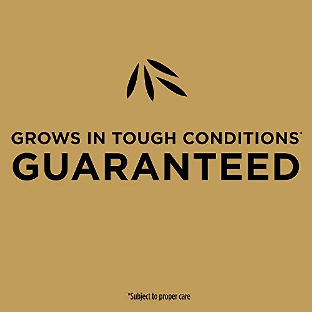 Scotts EZ Seed Patch and Repair Bermudagrass, 10 lb. - Combination Mulch, Seed, and Fertilizer - Tackifier Reduces Seed Wash-Away - Even Grows in Scorching Heat - Covers up to 225 sq. ft.