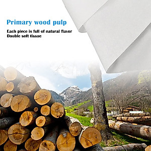 Car Tissue Refill, Disposable Facial Tissue, Napkin, Travel Size Pack for Car Visor Tissue Holder or Purse, 15 Packs, 50 Sheets per Pack, 750 Sheets In Total