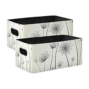 Kcldeci Dandelion Floral Home Foldable Collapsible Storage Box Bins Shelf Basket Cube Organizer Set of 2
